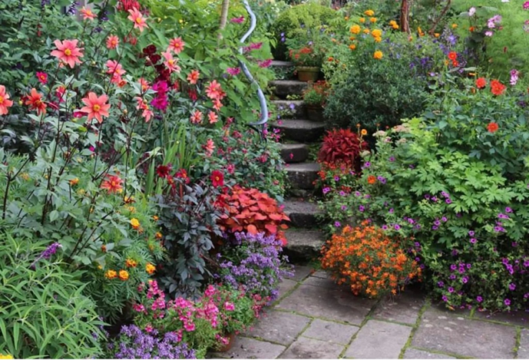 TOD GARDEN TOURS – Michael Marriott