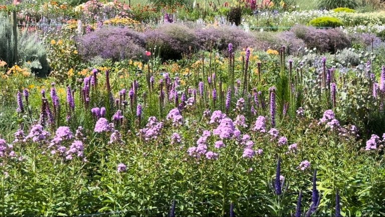 TOD GARDEN TOURS – Michael Marriott