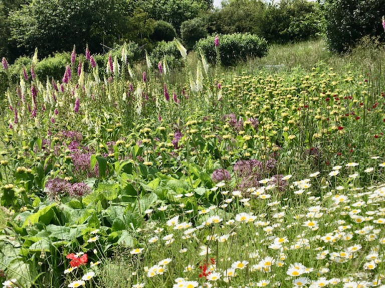 TOD GARDEN TOURS – Michael Marriott